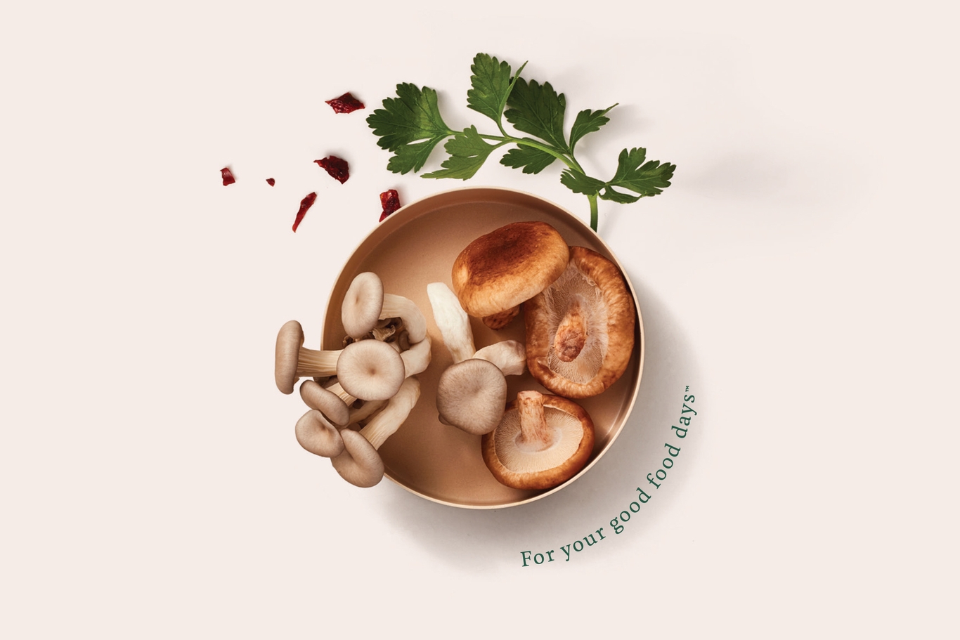 Slendier - Branding and packaging design by Seesaw Studio | Seesaw