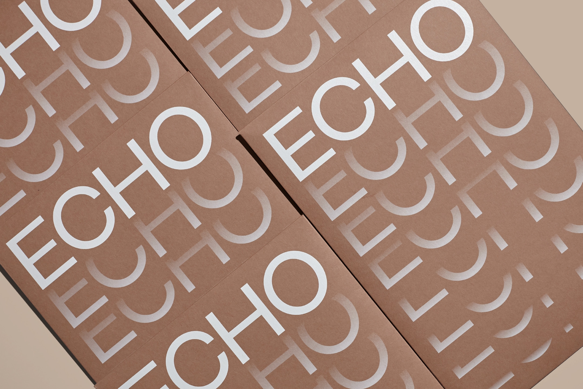 Echo - Branding, signage and digital by Seesaw Studio | Seesaw